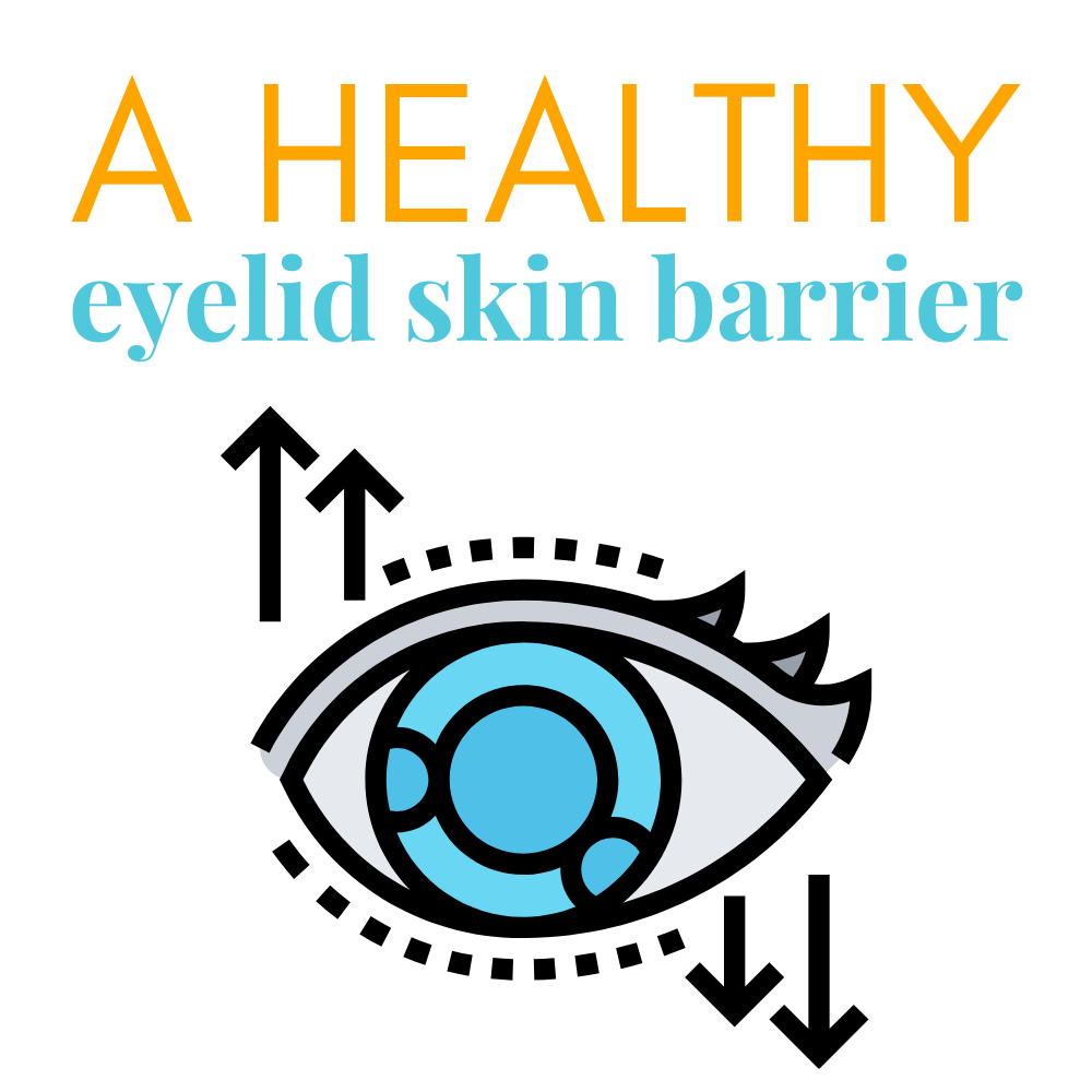 How a Healthy Eyelid Skin Barrier Supports Optimal Eye Health: Expert ...